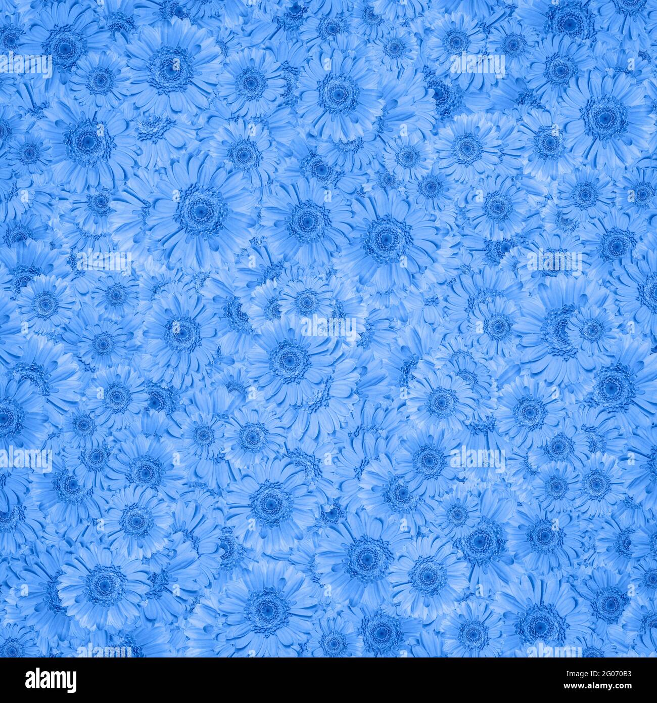 Blue flowers pattern hi-res stock photography and images - Alamy