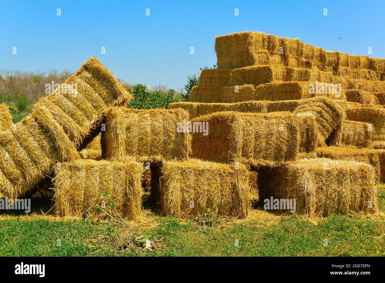 Tied haystacks hi-res stock photography and images - Alamy