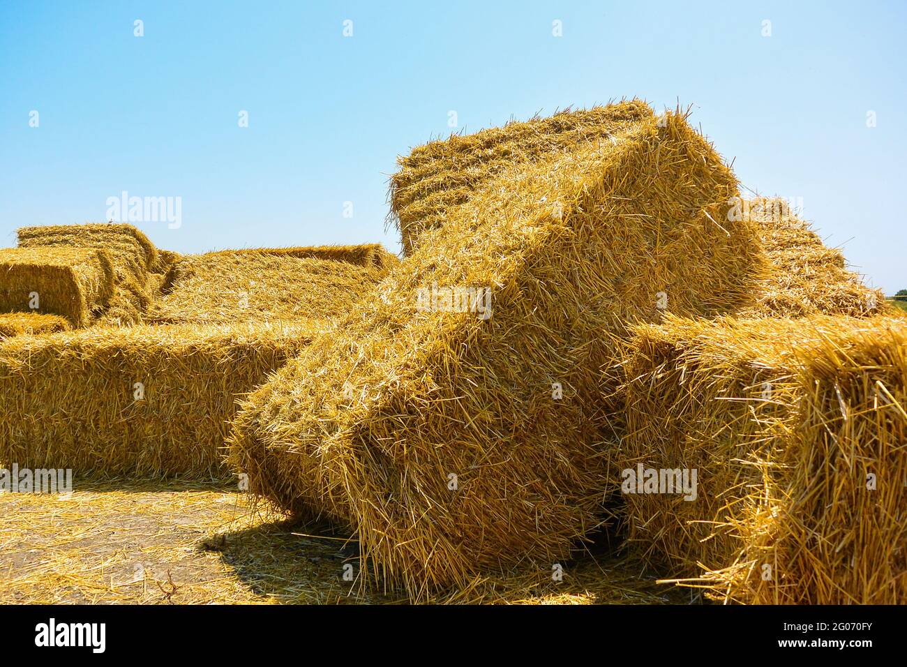 Dry hay in stack on farm field. Big haystack harvest Stock Photo - Alamy