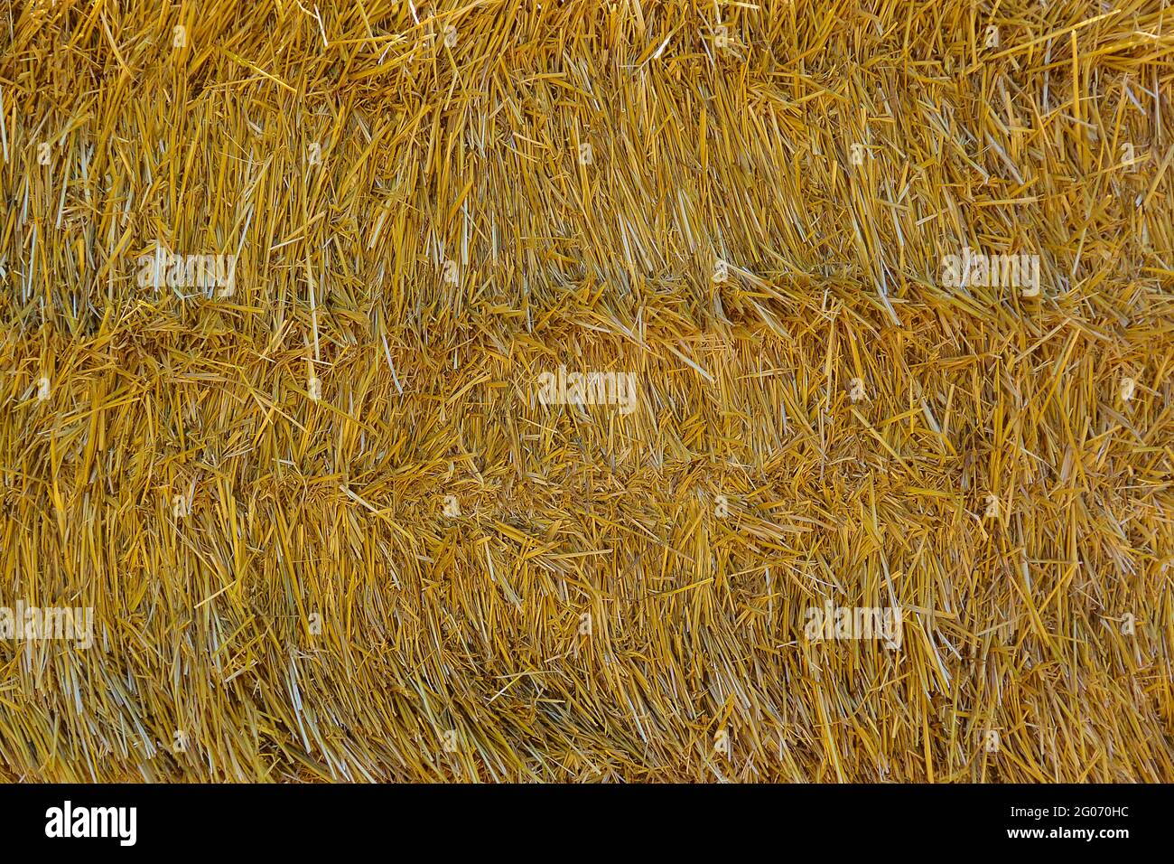 Hay stack close up. Big haystack harvest, background. Symbol of harvest ...