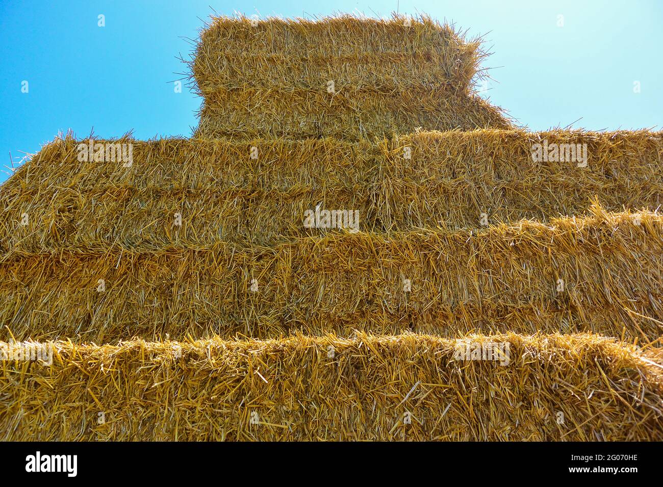 Dry hay in stack on farm field. Big haystack harvest Stock Photo - Alamy