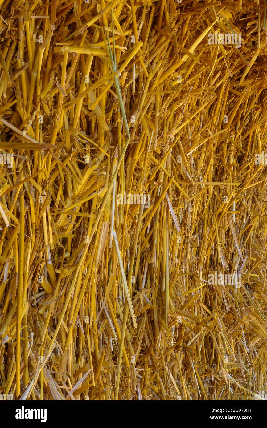 Hay stack close up. Big haystack harvest, background. Symbol of harvest ...