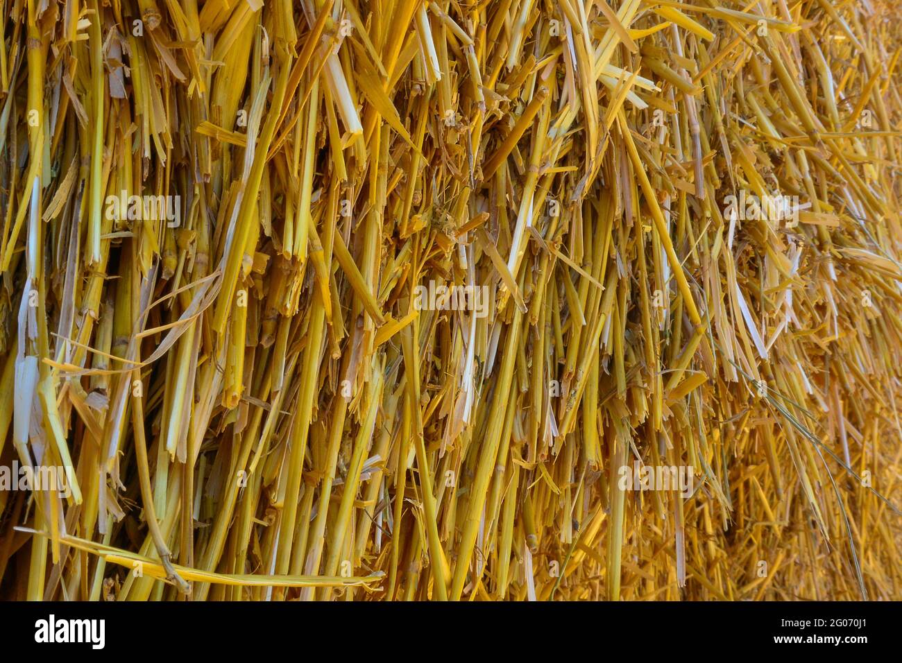 Hay stack close up. Big haystack harvest, background. Symbol of harvest ...