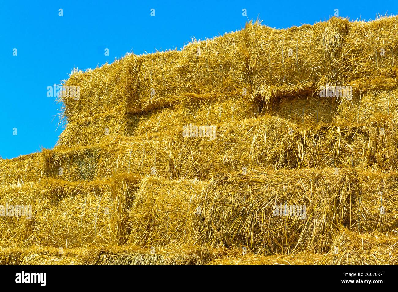 Dry hay in stack on farm field. Big haystack harvest Stock Photo - Alamy