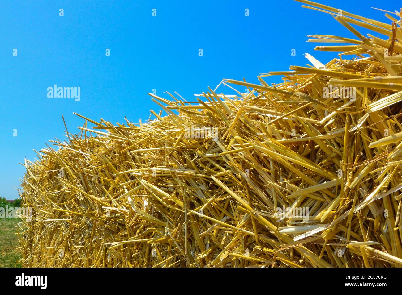 Dry hay in stack on farm field, close up Stock Photo - Alamy
