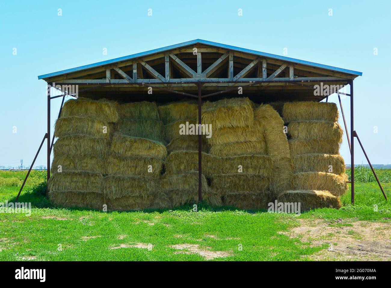 Dry hay in stack on farm field. Big haystack harvest Stock Photo - Alamy
