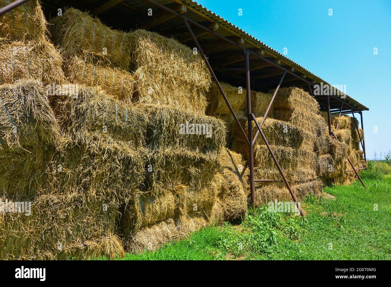 Dry hay in stack on farm field. Big haystack harvest Stock Photo - Alamy
