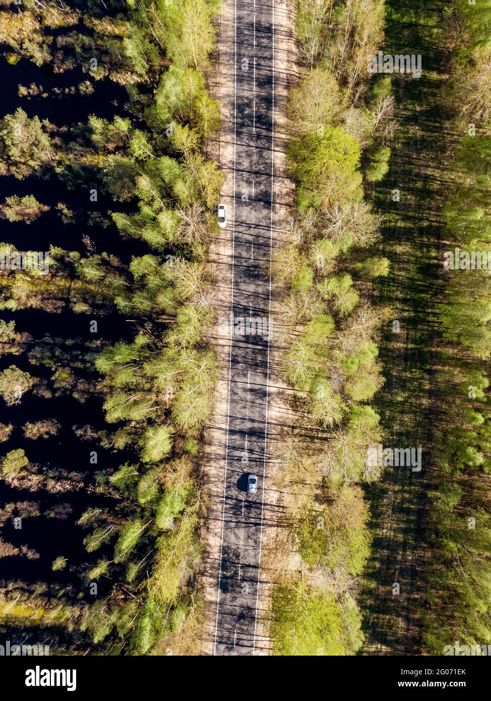 Aerial view of the road. Shadows of the trees on an asphalt Stock Photo ...
