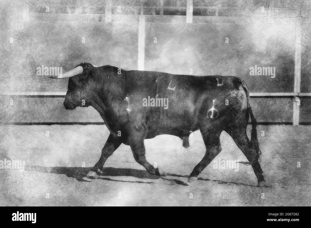 Spanish Bullfighting Drawing