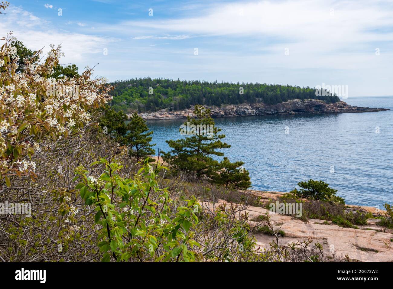 Thunder hole acadia national park hi-res stock photography and images ...
