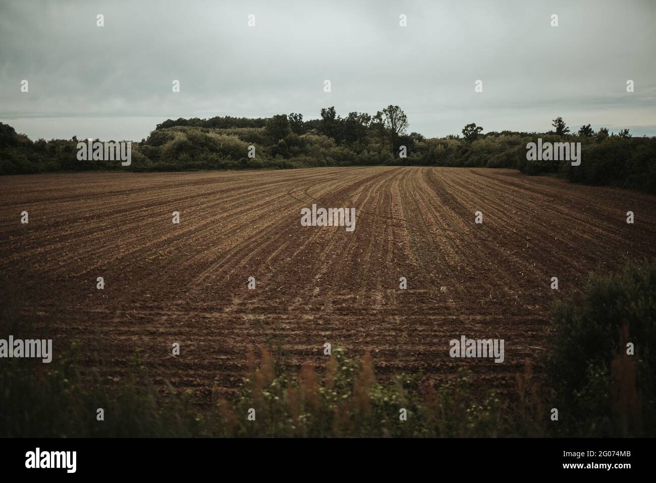 Field with trees near it and a cloudy dark sky Stock Photo - Alamy