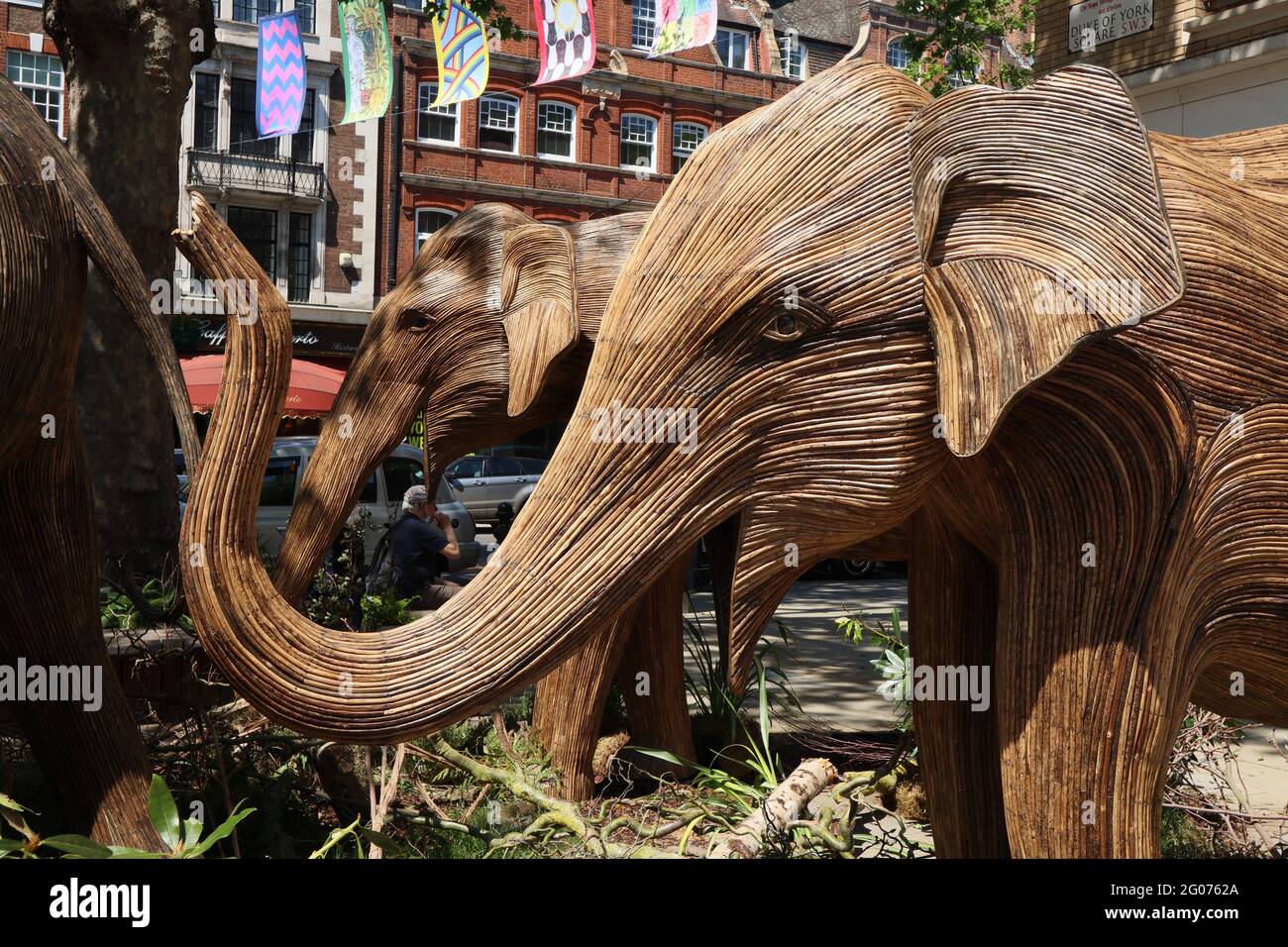 Wildlife conservation charity elephant family hi-res stock photography ...