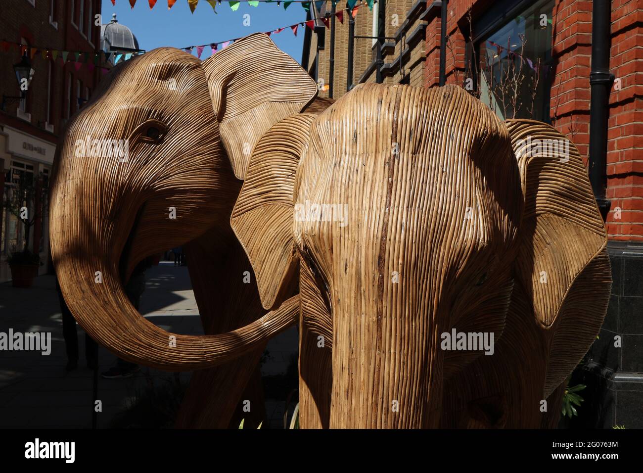 Herd the news, A magnificent herd of 50 handcrafted life-size elephants ...