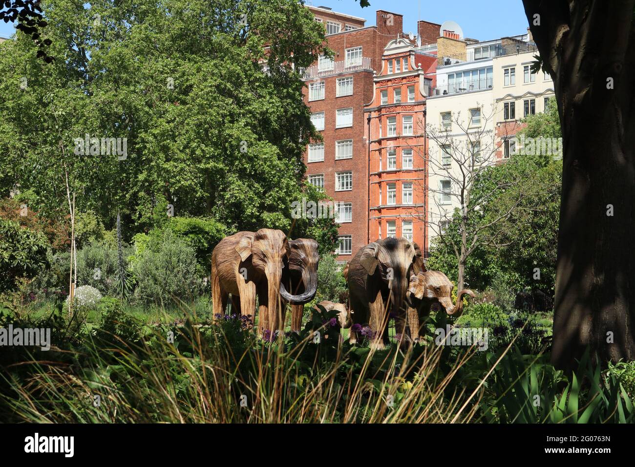 Herd the news, A magnificent herd of 50 handcrafted life-size elephants ...