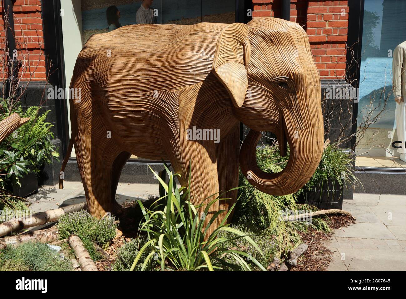 Herd the news, A magnificent herd of 50 handcrafted life-size elephants ...