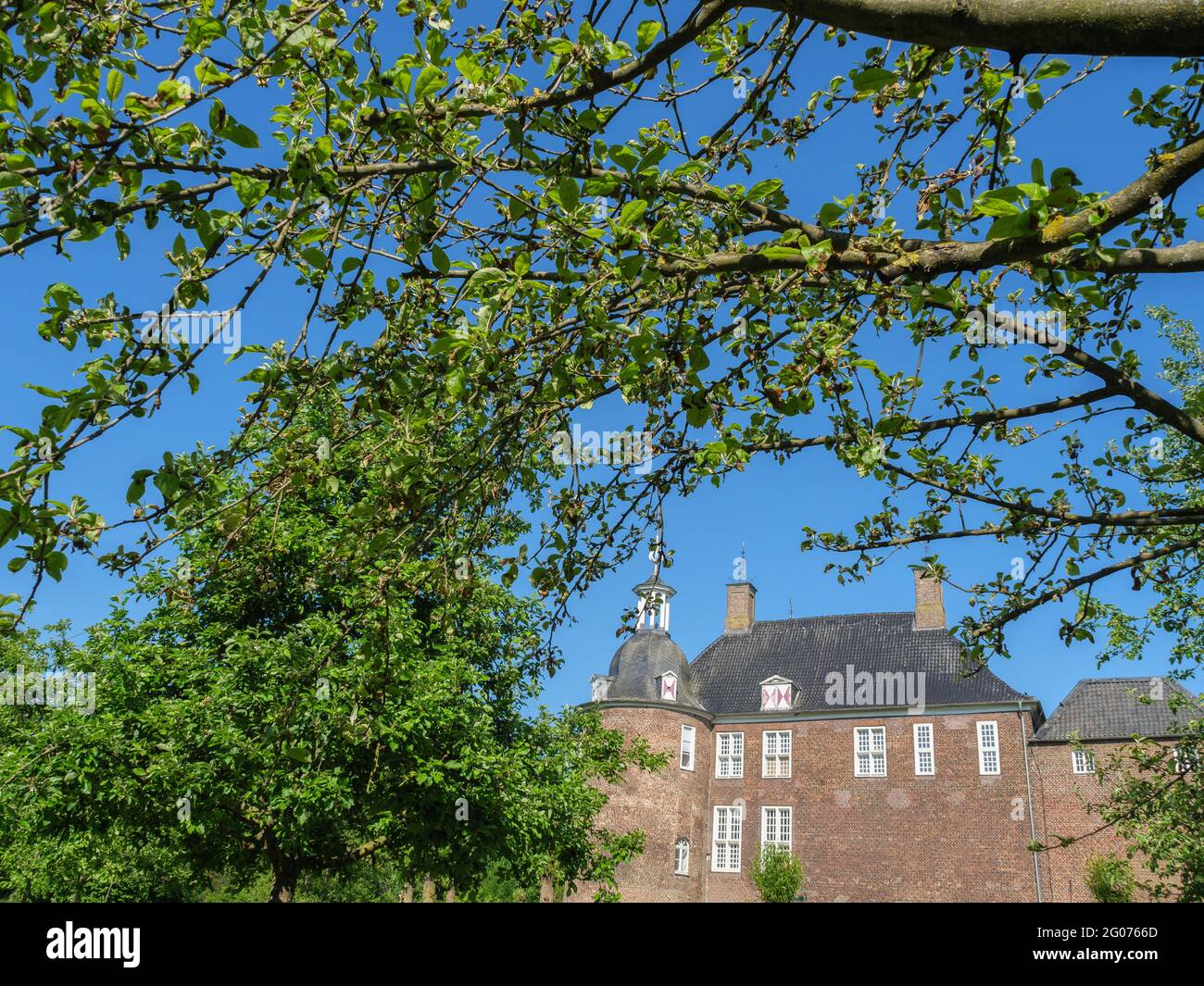 the castle of ringenberg Stock Photo - Alamy