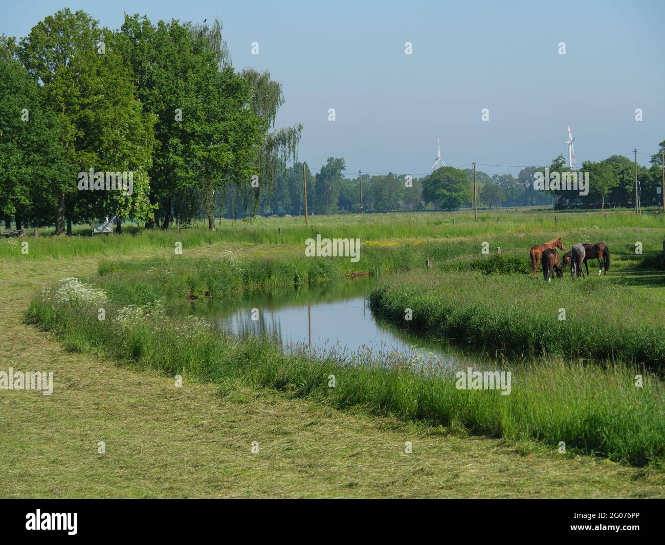 The river issel in germany Stock Photo - Alamy