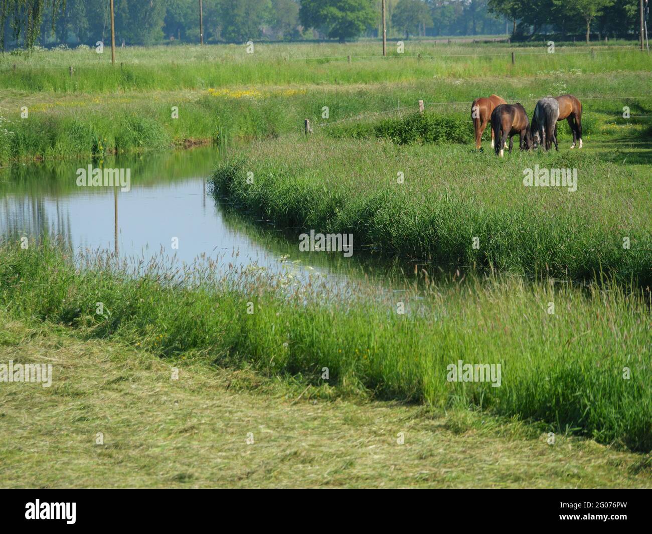 River issel hi-res stock photography and images - Alamy
