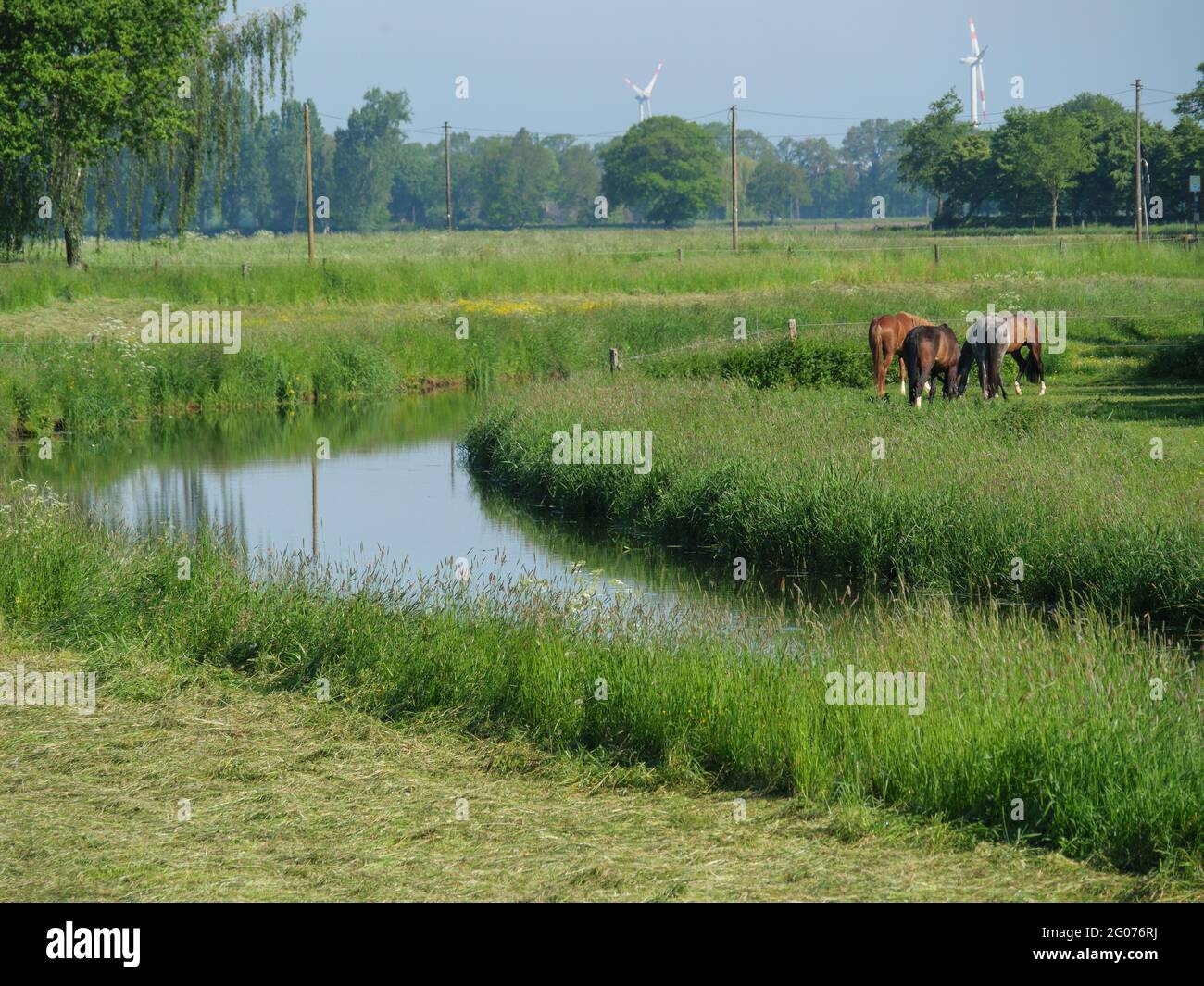 Hamminekln hi-res stock photography and images - Alamy