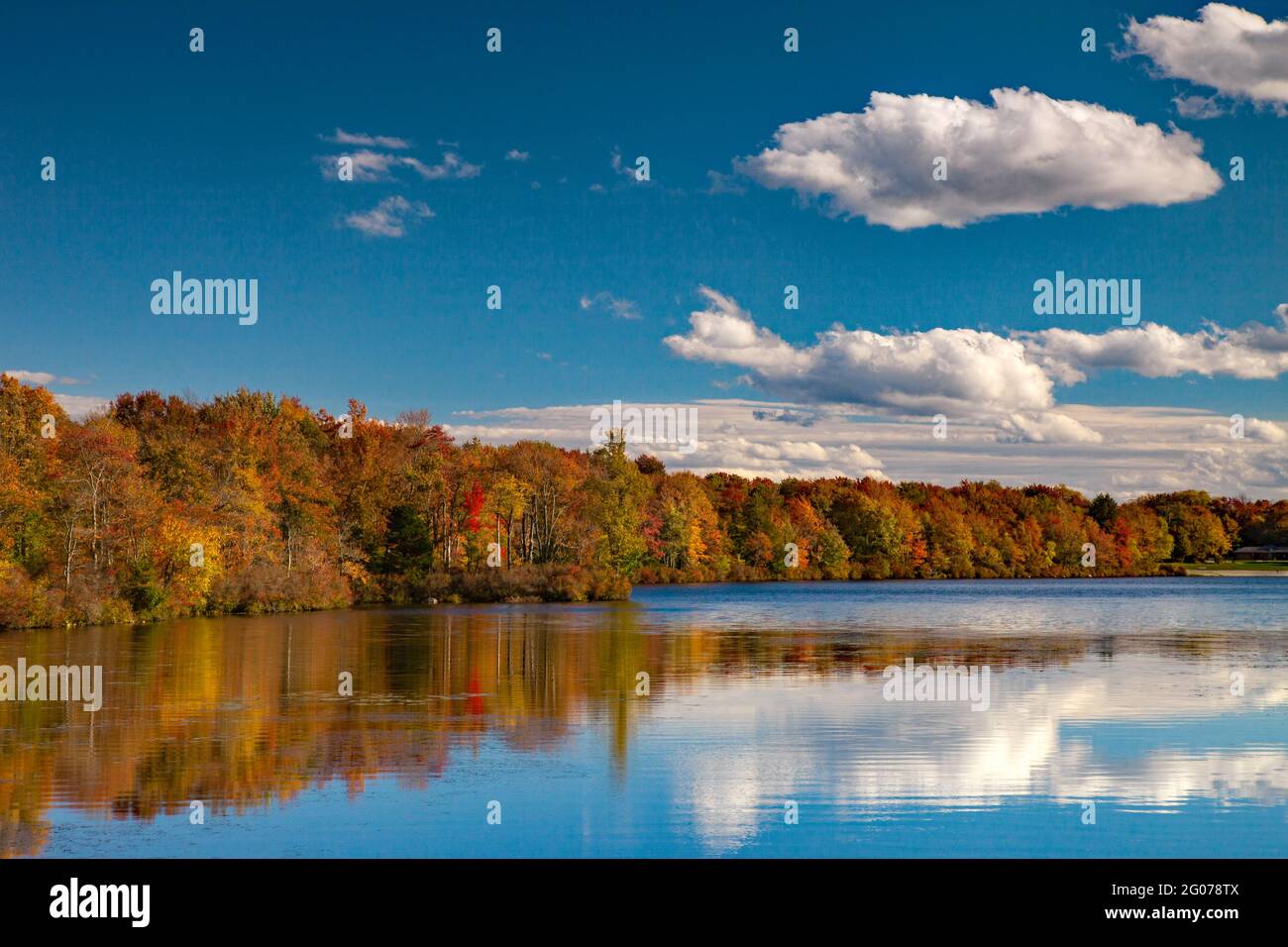 Pond ecology hi-res stock photography and images - Alamy