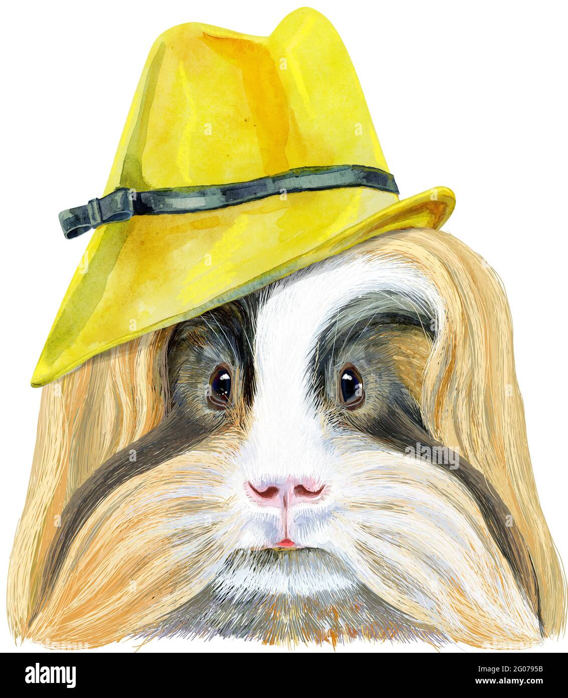 Cute cavy in yellow hat. Pig for T-shirt graphics. Watercolor Sheltie ...