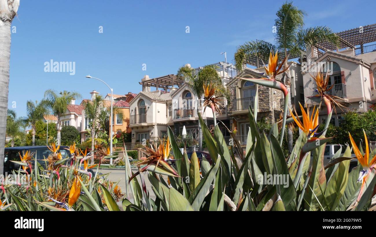 California typical suburban street, tropical Oceanside USA. Different ...