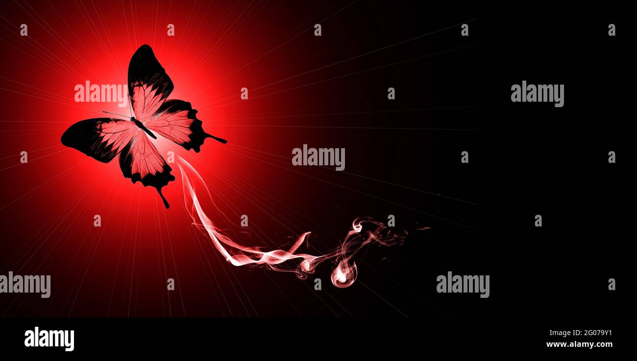 beautiful glowing butterfly on a black background. High quality photo ...