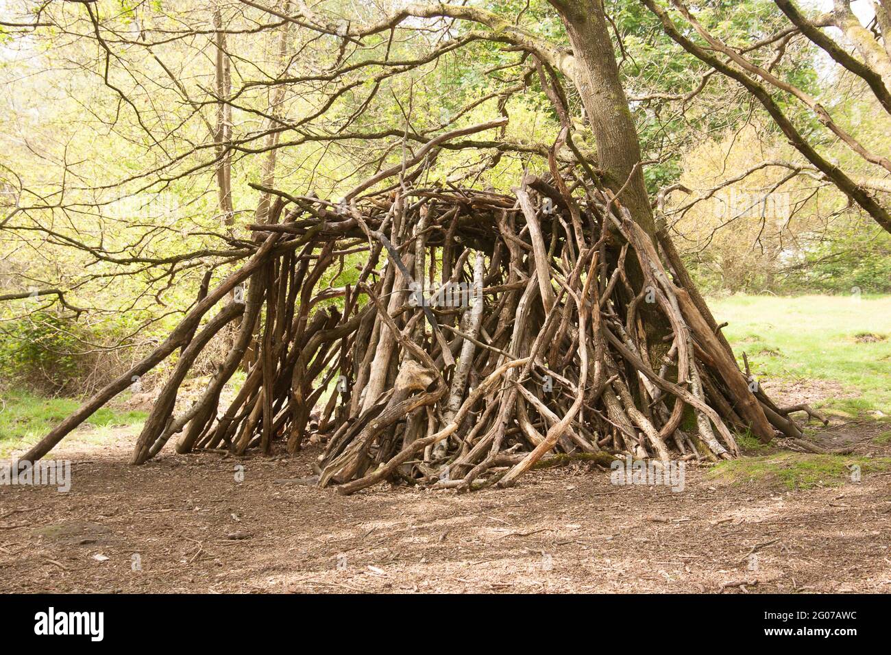 High Beach Epping Forest trees Stock Photo - Alamy