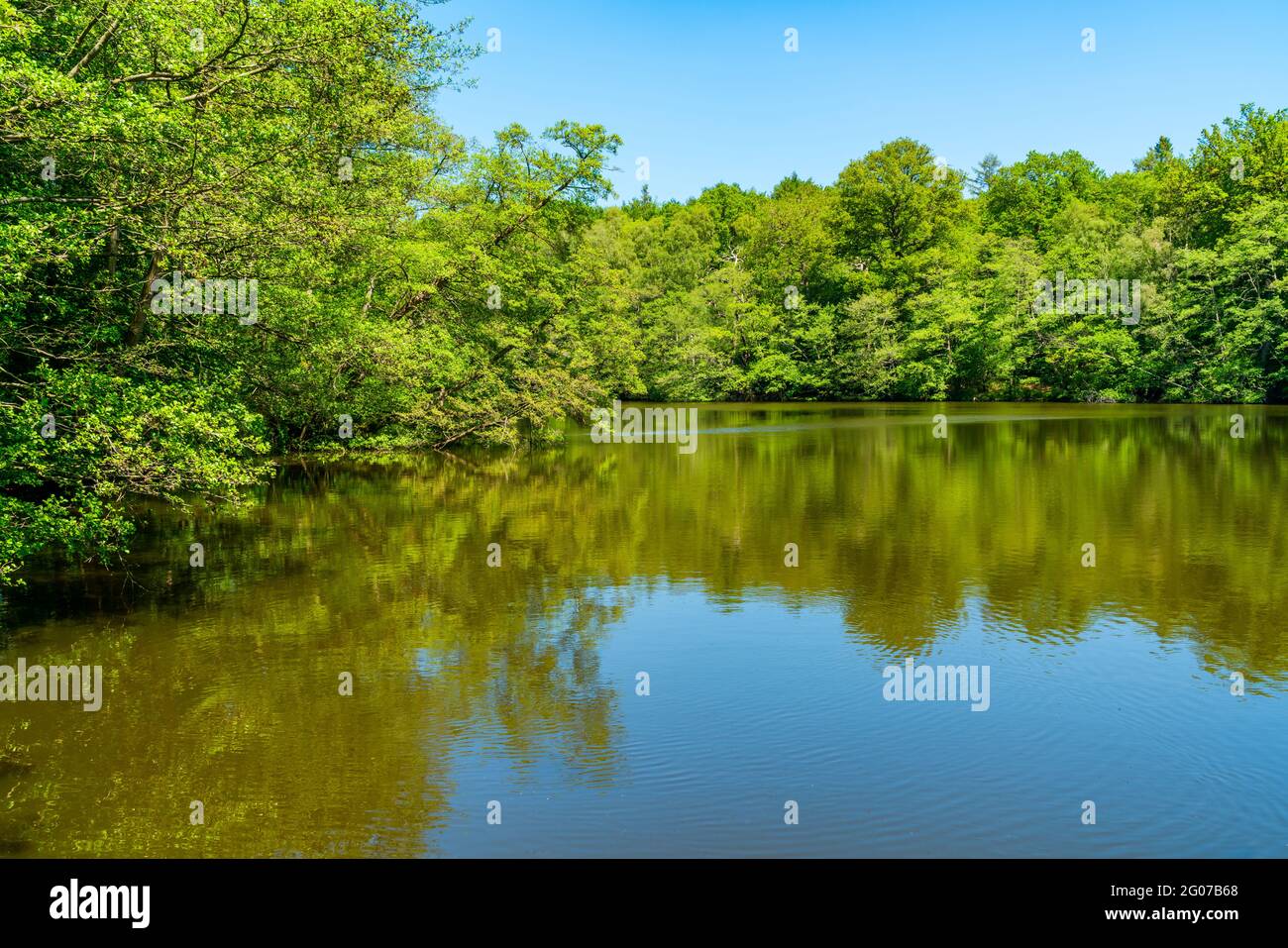 Virginia Water lake in Surrey, UK Stock Photo - Alamy