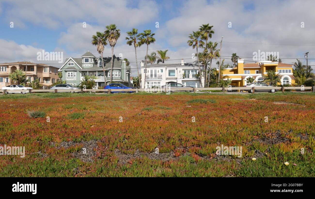 Typical suburban, tropical Carlsbad California USA. Different colorful ...
