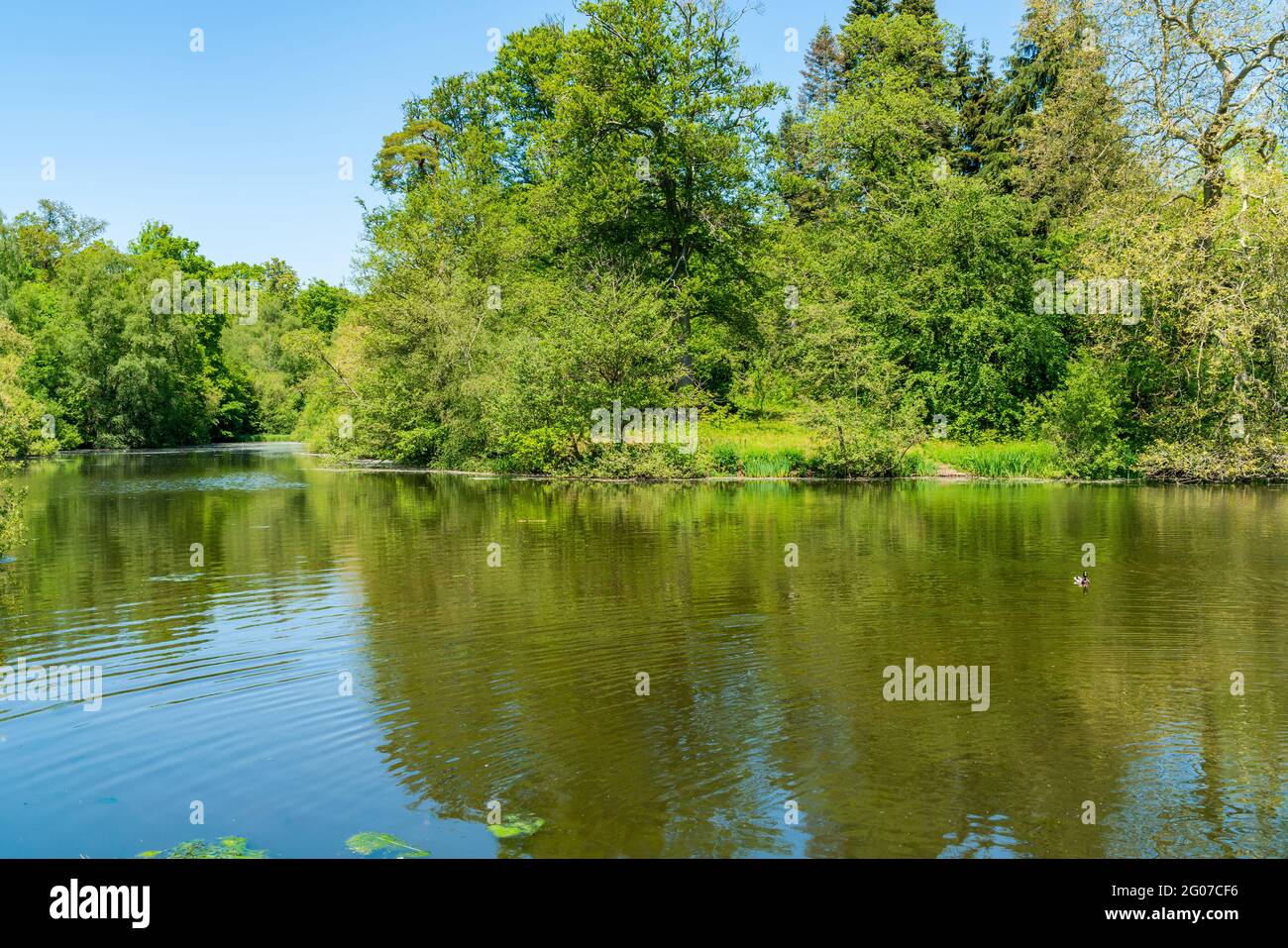 Virginia Water lake in Surrey, UK Stock Photo - Alamy
