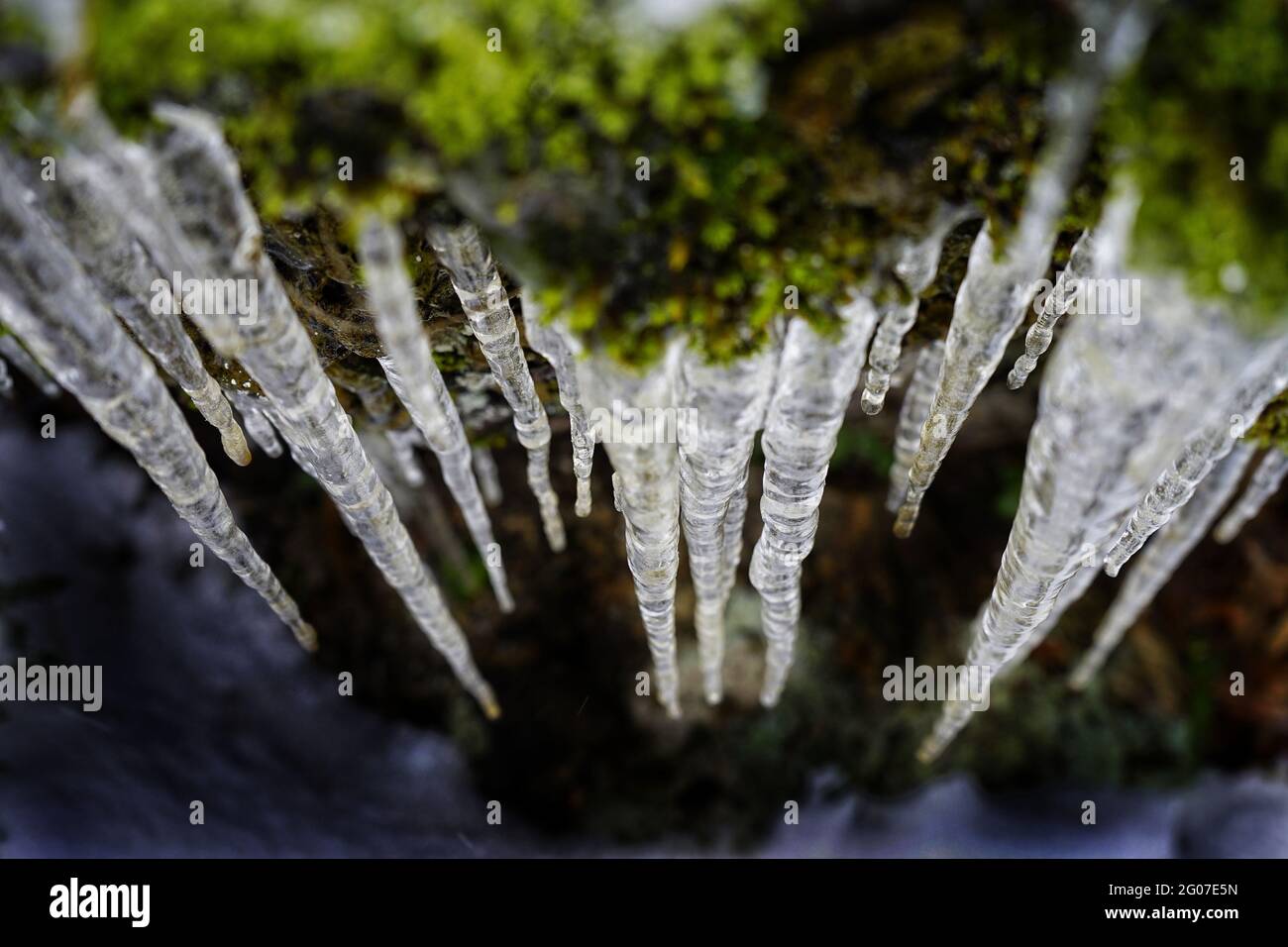 Icicle hanging from moss hi-res stock photography and images - Alamy