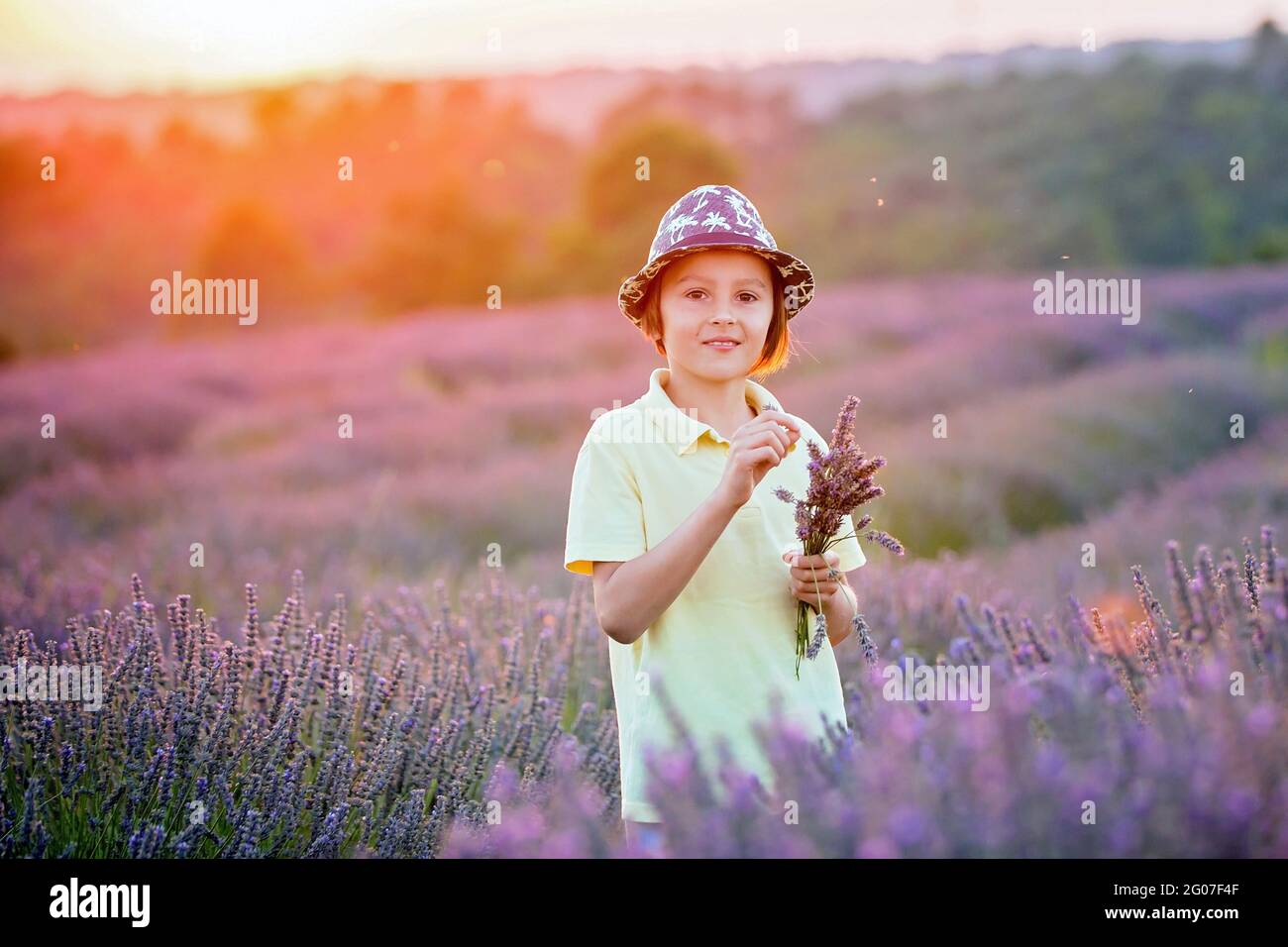 Cute little child, beautiful boy, playing in lavender field on sunset ...