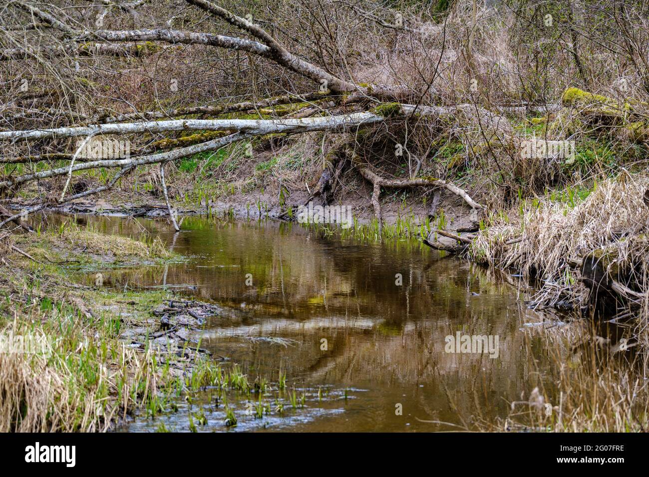 calm forest smal lriver with small waterfall from natural rocks. water ...