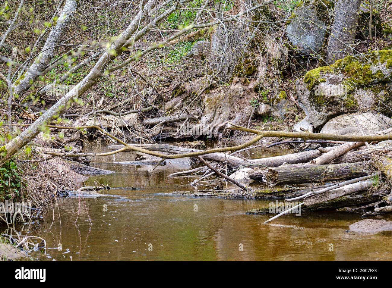 calm forest smal lriver with small waterfall from natural rocks. water ...