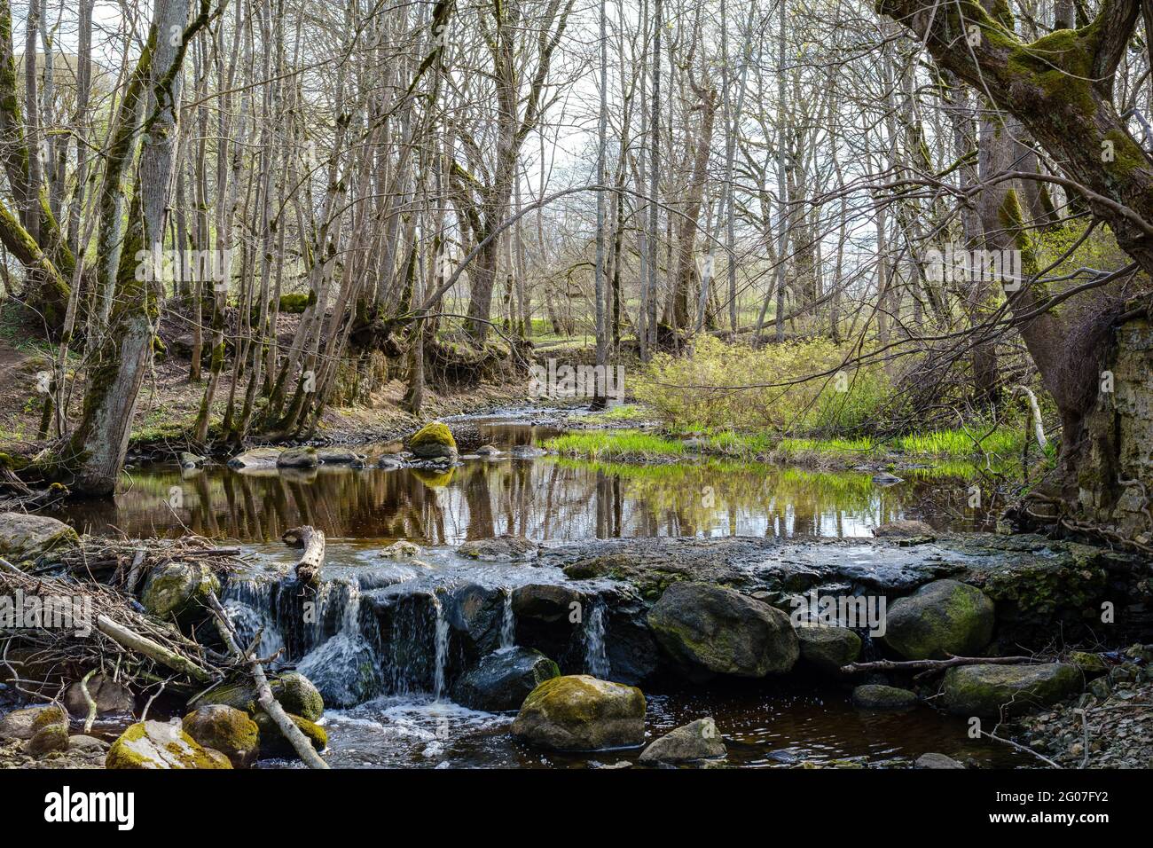 calm forest smal lriver with small waterfall from natural rocks. water ...