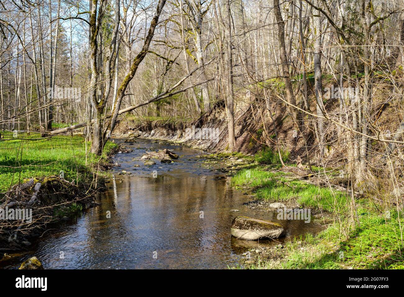 calm forest smal lriver with small waterfall from natural rocks. water ...