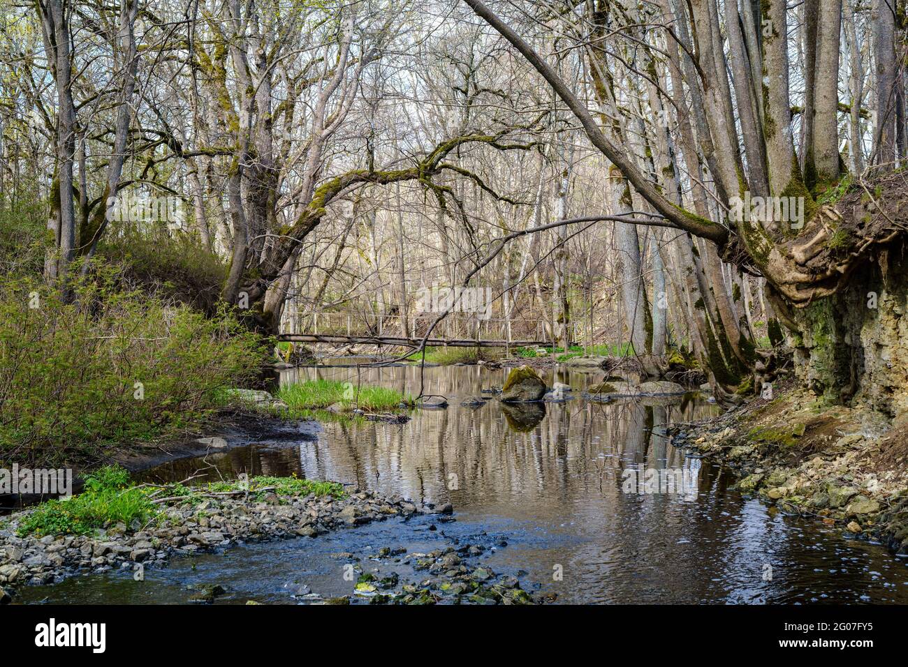 calm forest smal lriver with small waterfall from natural rocks. water ...