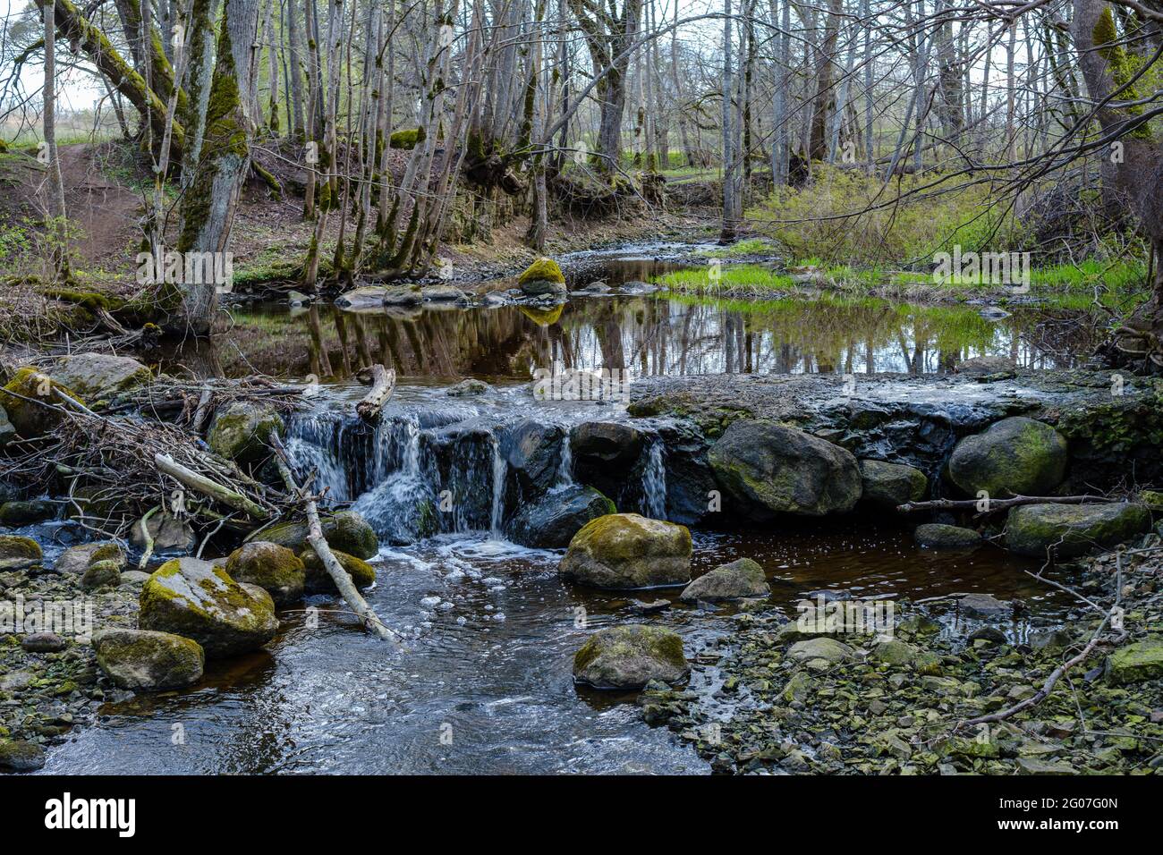 calm forest smal lriver with small waterfall from natural rocks. water ...