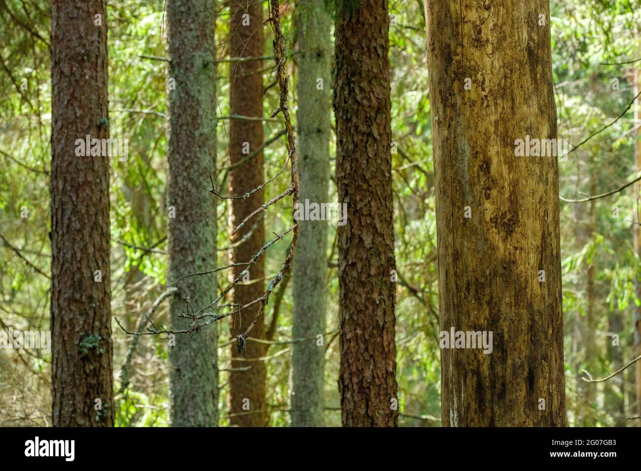 Borderline open hi-res stock photography and images - Alamy
