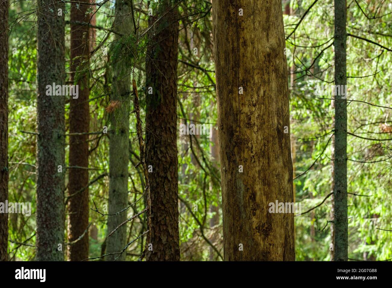 Borderline open hi-res stock photography and images - Alamy