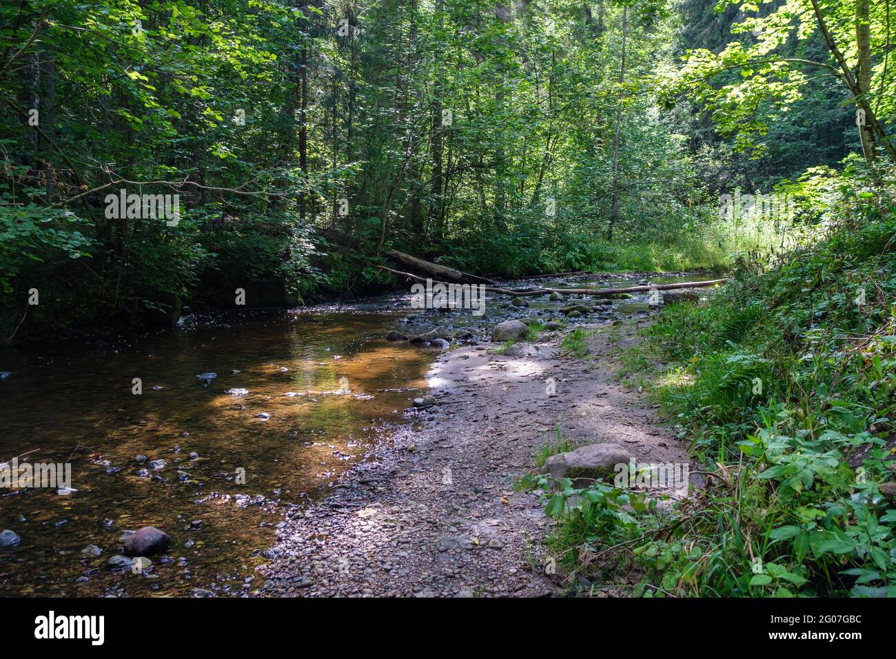 calm forest smal lriver with small waterfall from natural rocks. water ...