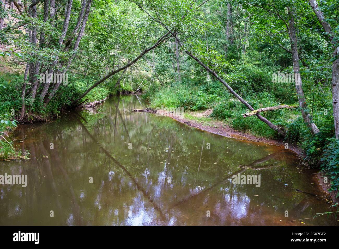calm forest smal lriver with small waterfall from natural rocks. water ...