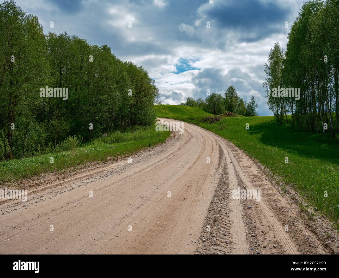 dusty gravel road in summer green fresh wet forest. perspective ahead ...