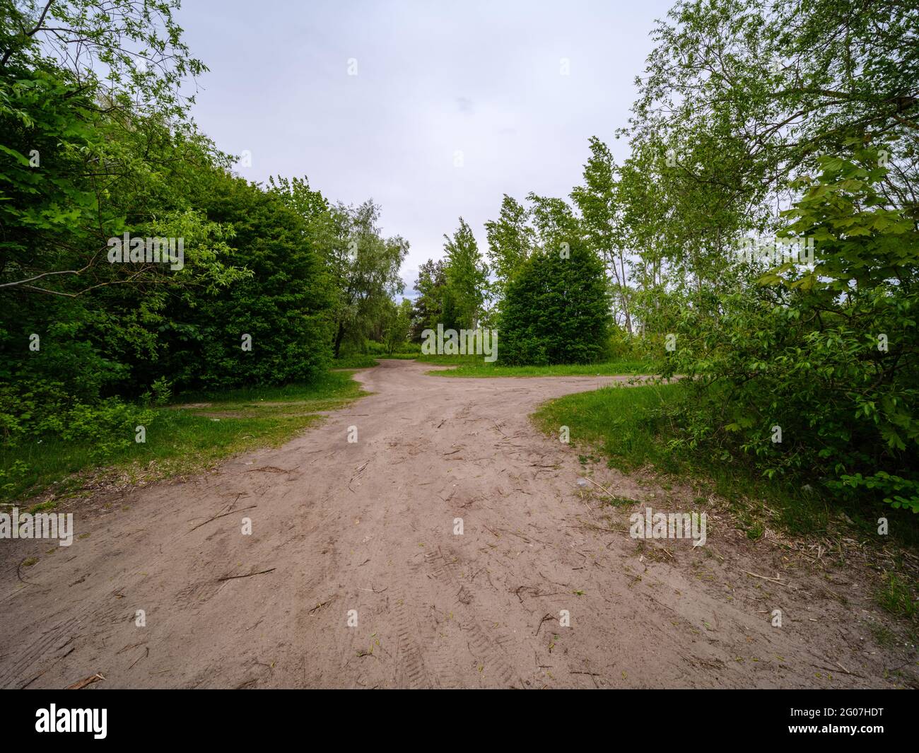 dusty gravel road in summer green fresh wet forest. perspective ahead ...