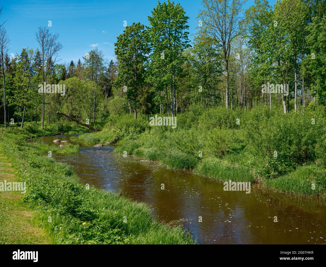 calm forest smal lriver with small waterfall from natural rocks. water ...