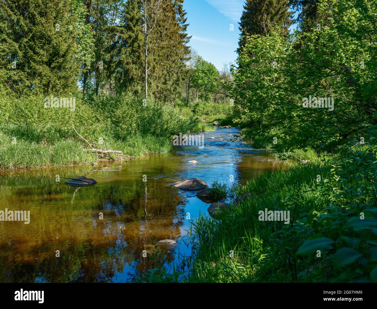 calm forest smal lriver with small waterfall from natural rocks. water ...