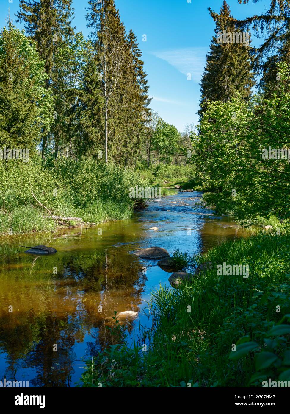 calm forest smal lriver with small waterfall from natural rocks. water ...