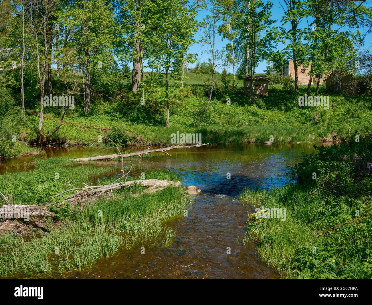 calm forest smal lriver with small waterfall from natural rocks. water ...