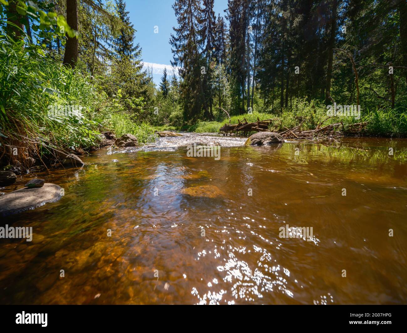 calm forest smal lriver with small waterfall from natural rocks. water ...